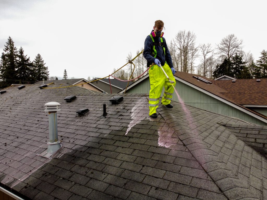 Roof Power Washing Near Me